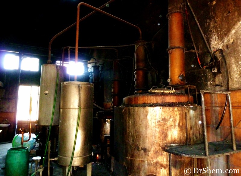 Bulgarian Winemaking with Rakia and Thracians on the Side - Dr.Shem